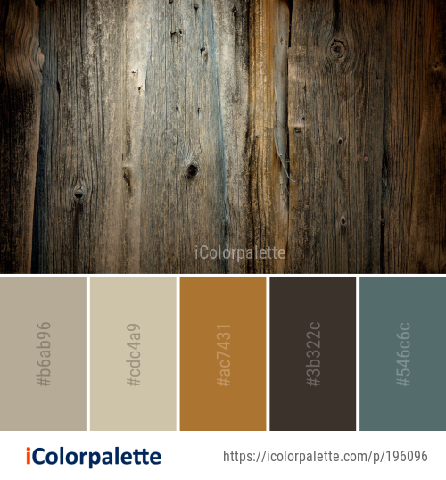 Color Palette Ideas from Wood Wall Plank Image | iColorpalette