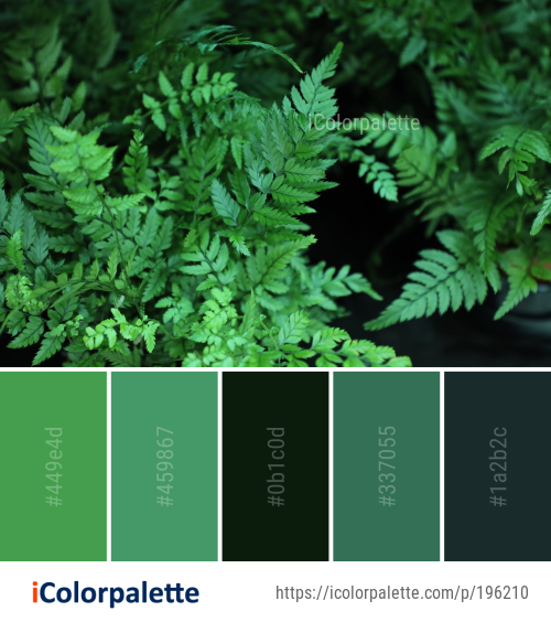 Color Palette Ideas from Vegetation Plant Leaf Image | iColorpalette