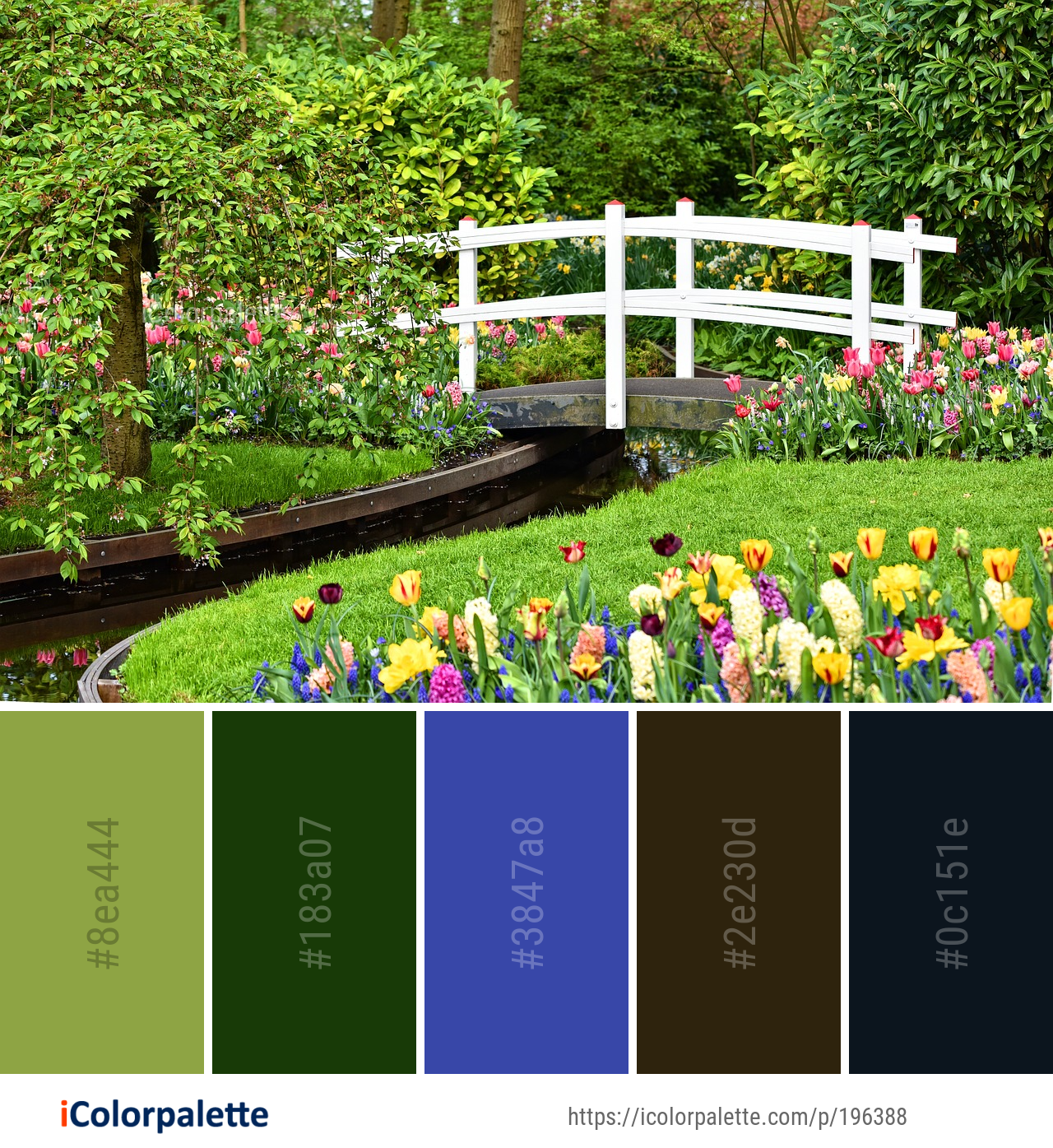 Color Palette Ideas from Garden Flower Plant Image | iColorpalette