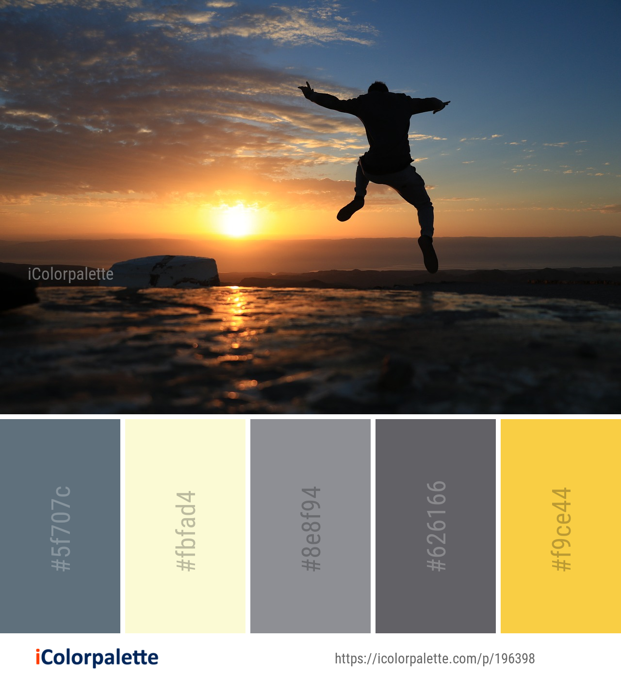 25 Jumping Color Palette ideas in 2025 | iColorpalette
