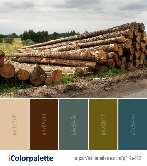 Color Palette Ideas from Wood Lumber Logging Image | iColorpalette