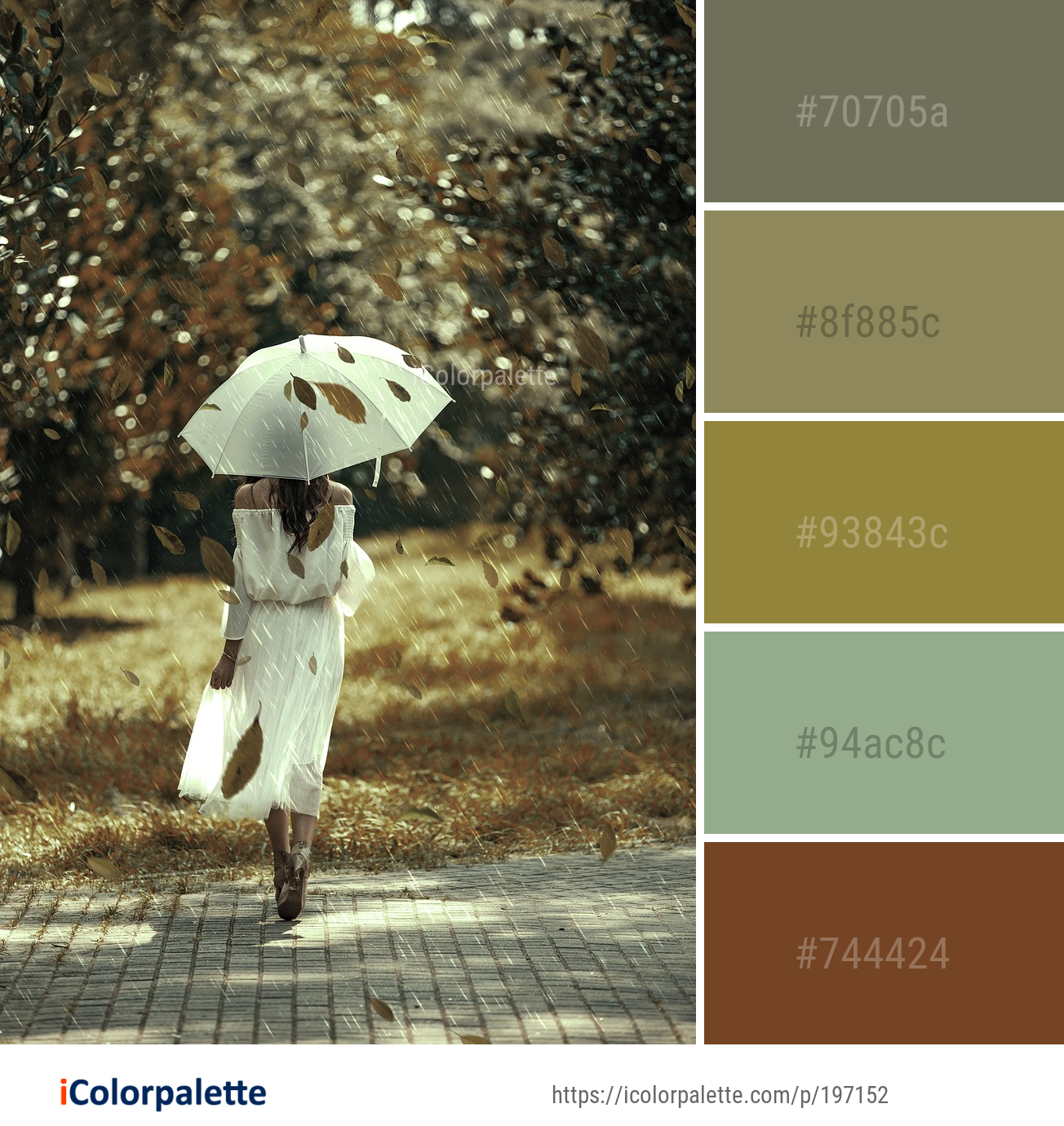 11 Rain Color Palette ideas in 2025 | iColorpalette