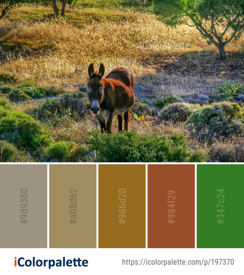 Color Palette Ideas from Wildlife Fauna Nature Reserve Image ...