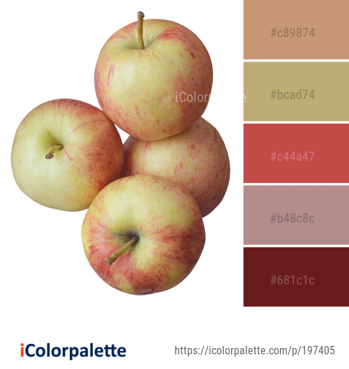 Color Palette Ideas from Fruit Apple Produce Image | iColorPalette