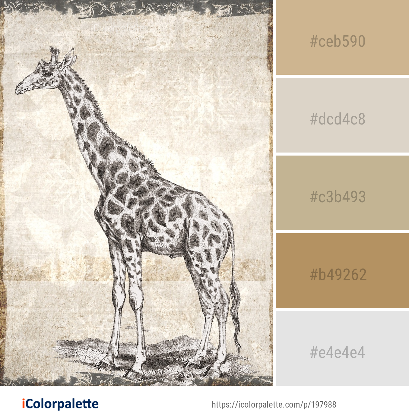Color Palette Ideas from Giraffe Giraffidae Terrestrial Animal Image ...