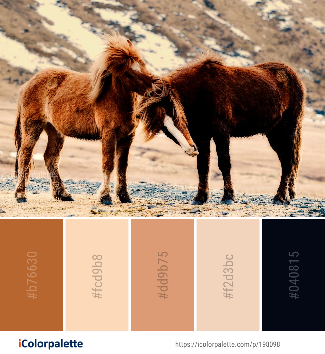 75 Pack Animal Color Palette ideas in 2025 | iColorpalette
