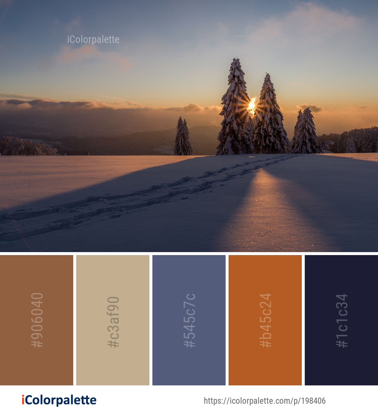 Color Palette Ideas from Sky Winter Snow Image | iColorpalette