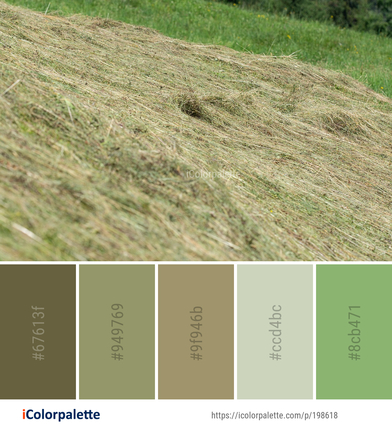 Color Palette Ideas from Grass Hay Grassland Image | iColorpalette