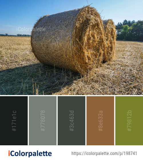 Color Palette Ideas from Hay Straw Field Image | iColorpalette