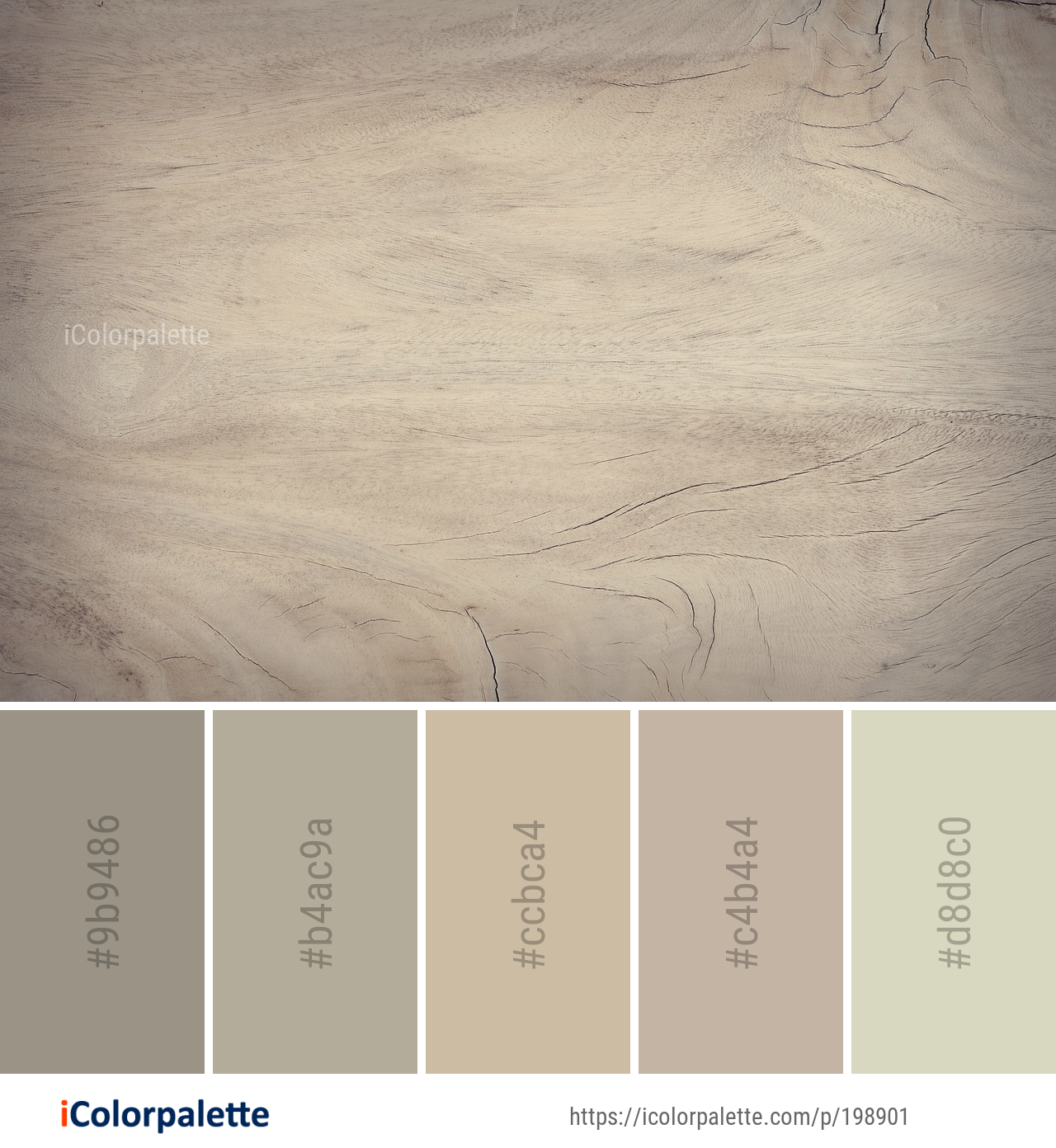 78+ Floor Color Palette ideas in 2026 | iColorPalette