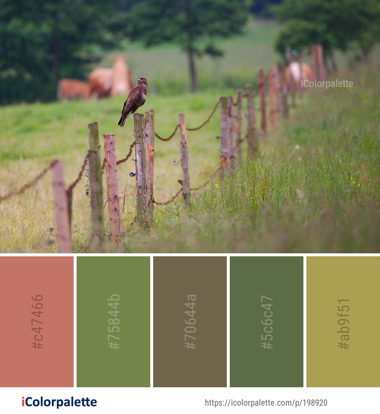 Color Palette Ideas from Wildlife Fauna Ecosystem Image | iColorpalette