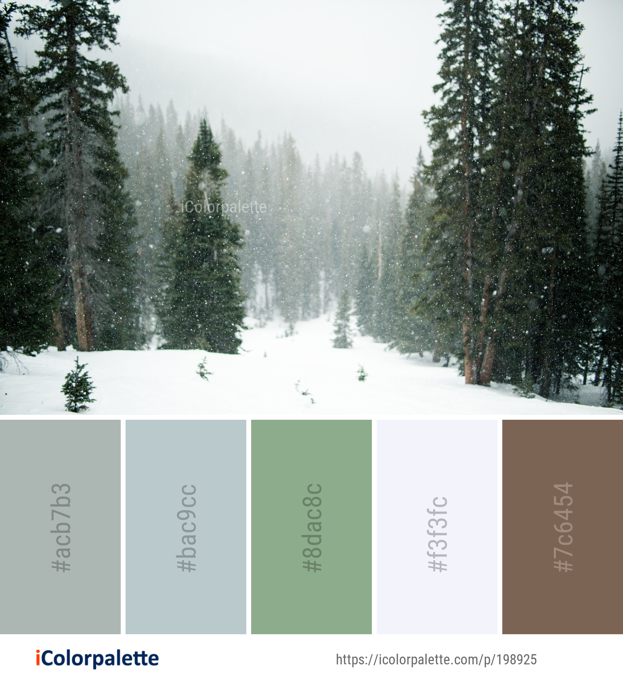 Color Palette Ideas from Snow Winter Tree Image | iColorpalette