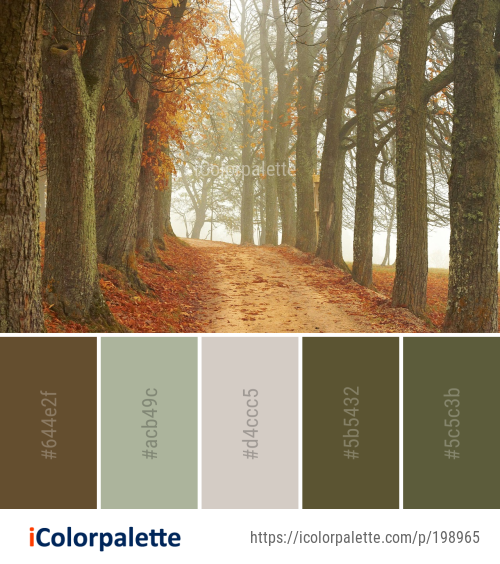 Color Palette Ideas from Woodland Nature Tree Image | iColorpalette
