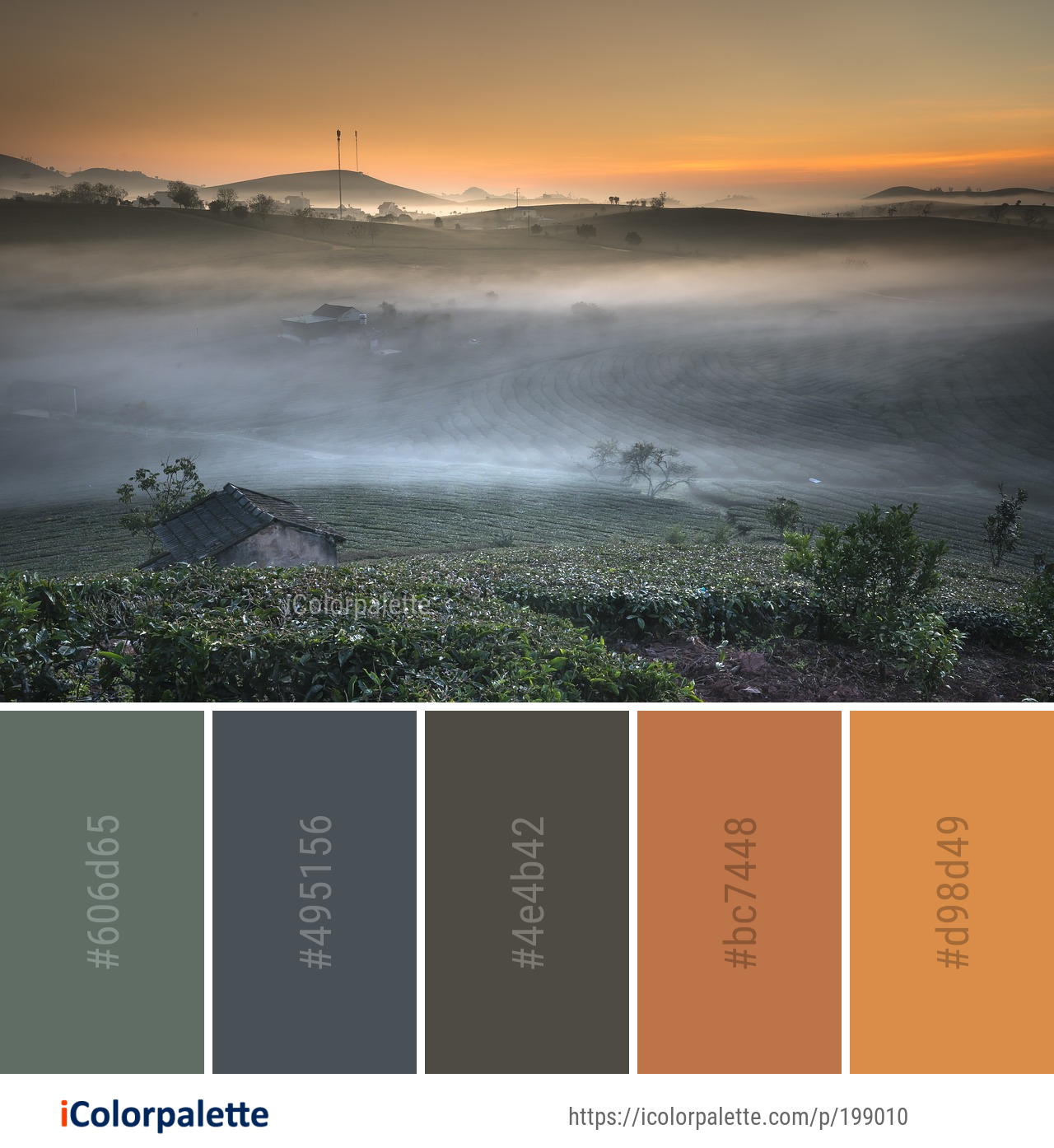 Color Palette Ideas from Dawn Sky Mist Image | iColorpalette