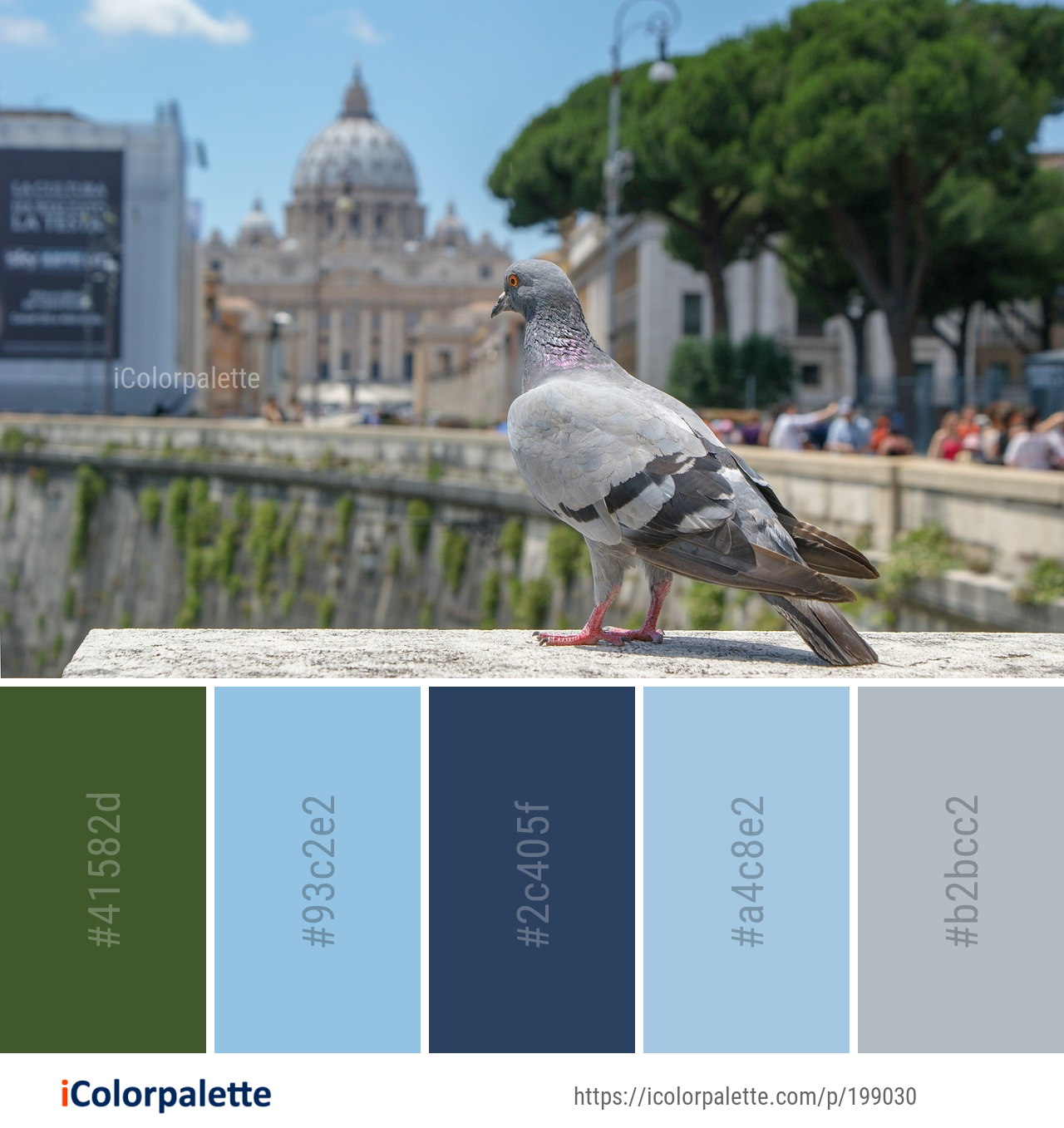 68+ Pigeons And Doves Color Palette ideas in 2025 | iColorPalette