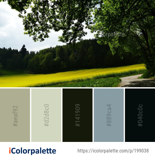 Color Palette Ideas from Nature Green Tree Image | iColorpalette