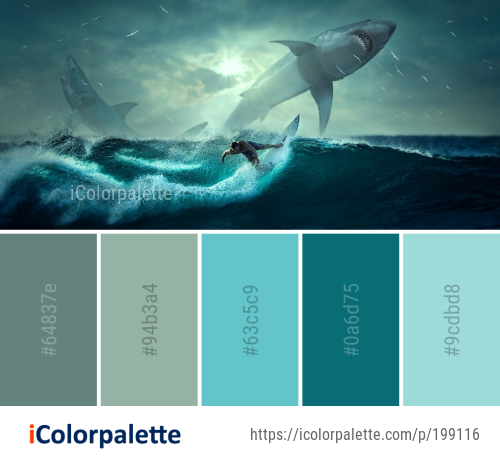 great white shark – iColorpalette