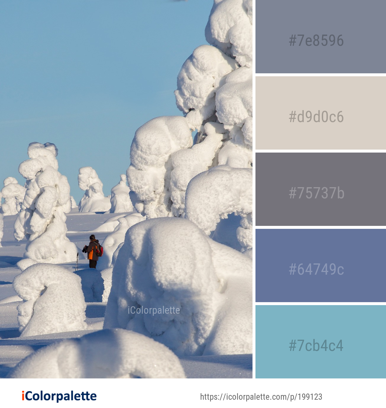 Color Palette Ideas from Snow Winter Polar Ice Cap Image | iColorpalette
