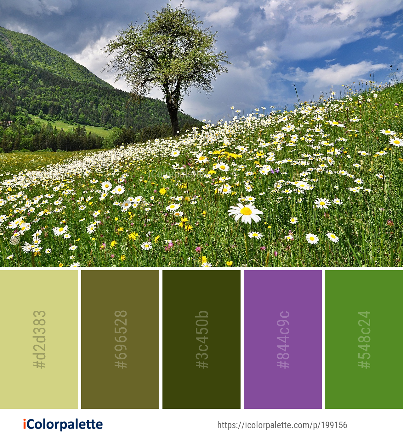 Color Palette Ideas from Flower Wildflower Meadow Image | iColorpalette