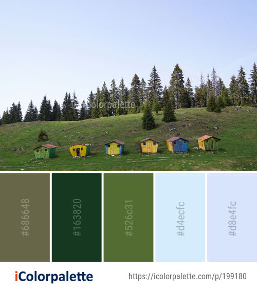 Color Palette Ideas from Grassland Nature Mountainous Landforms Image ...