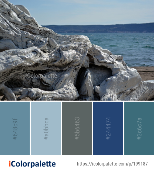 Color Palette Ideas from Rock Sea Shore Image | iColorpalette