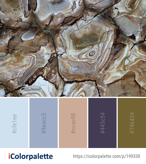 Color Palette Ideas from Wood Geology Rock Image | iColorPalette