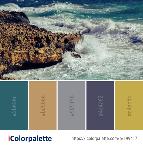 Color Palette Ideas from Wave Sea Coast Image | iColorpalette