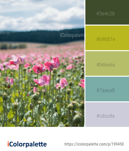 Color Palette Ideas from Flower Field Wildflower Image | iColorpalette