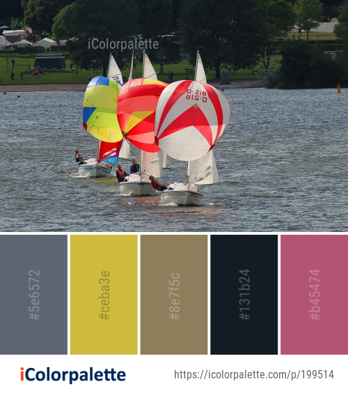 Color Palette Ideas from Water Waterway Sailing Image | iColorPalette
