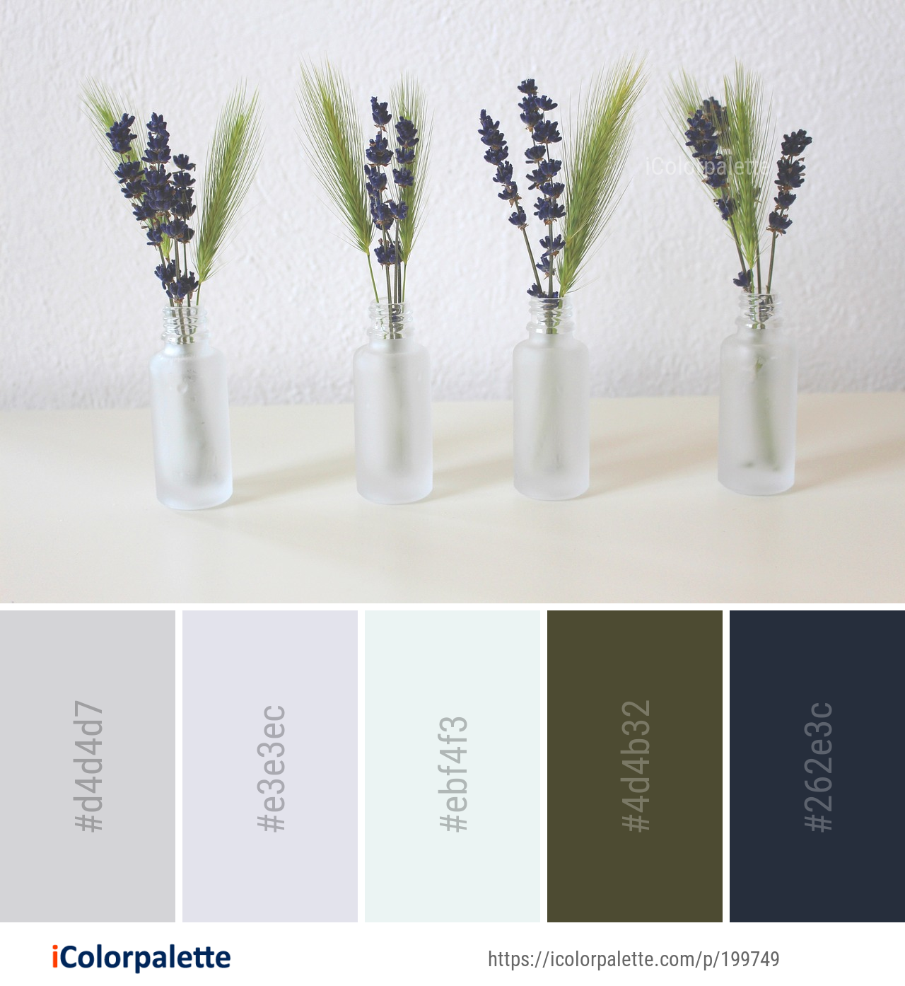Color Palette Ideas from Lavender Flowerpot Vase Image | iColorpalette