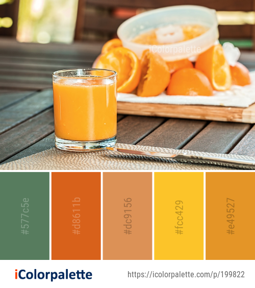 Color Palette Ideas from Juice Drink Orange Image | iColorpalette Color Palette Ideas from Juice Drink Orange Image | iColorpalette