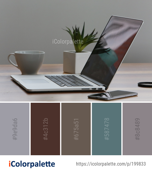 7+ Laptop Color Palette ideas in 2025 | iColorPalette