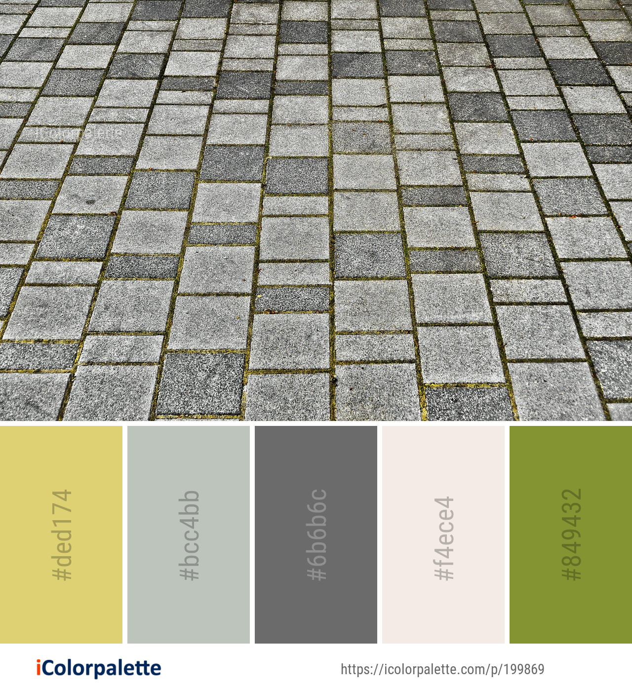 Color Palette Ideas from Cobblestone Road Surface Line Image ...