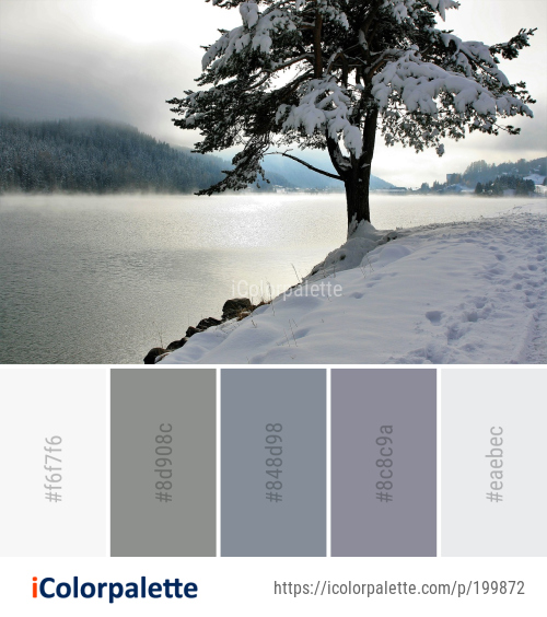 Color Palette Ideas from Snow Winter Nature Image | iColorpalette