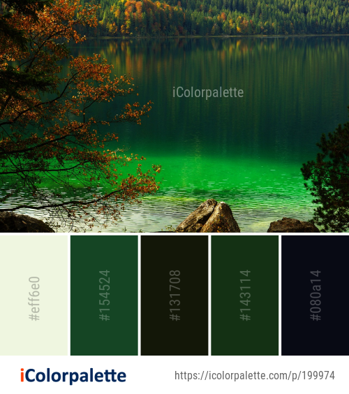 Color Palette Ideas from Water Green Nature Image | iColorpalette