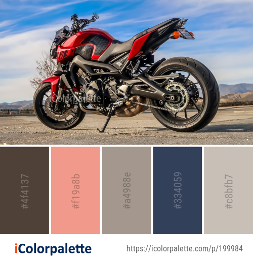 14+ Motorcycle Color Palette ideas in 2025 | iColorPalette