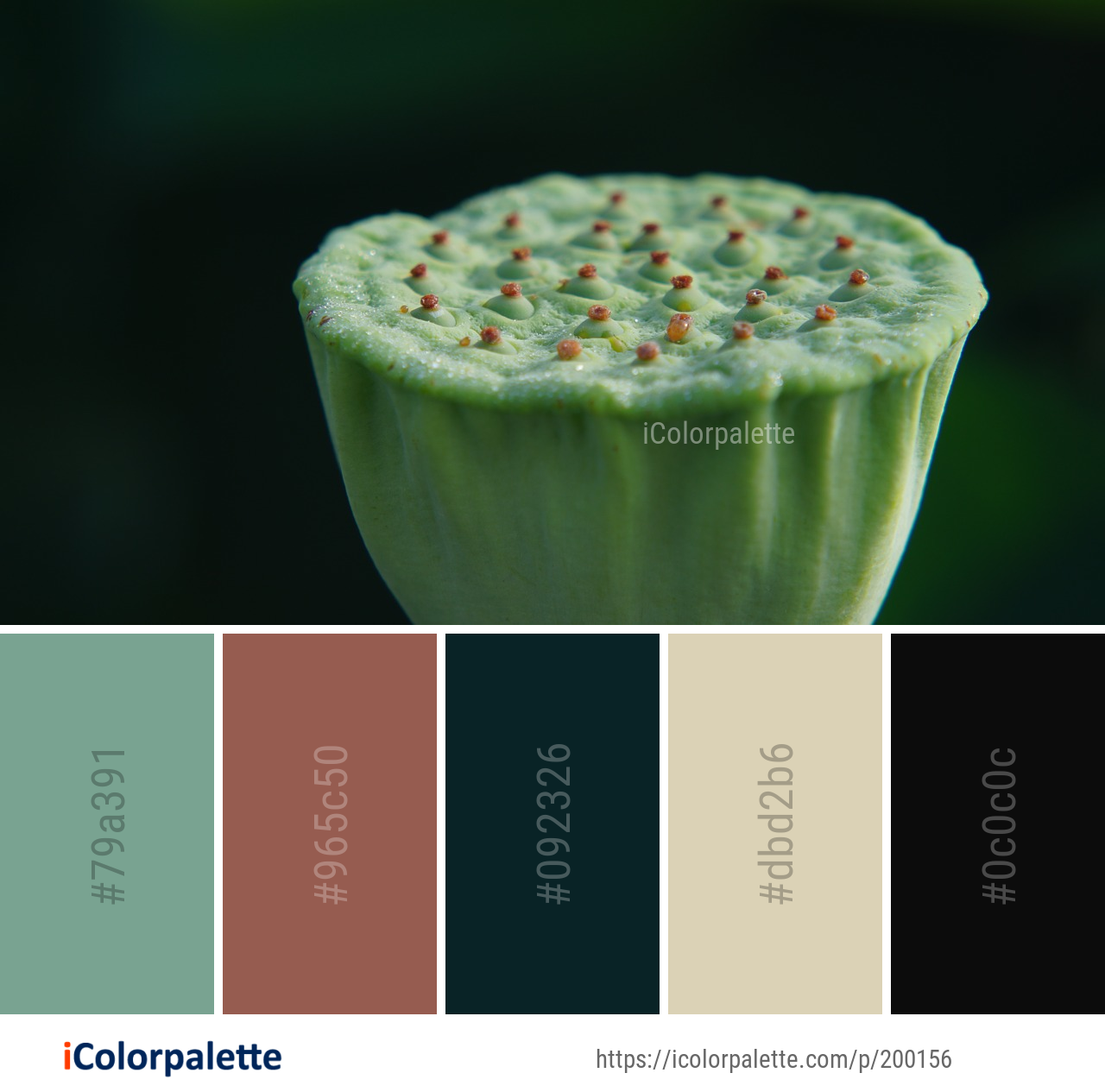 16 Botany Color Palette ideas in 2025 | iColorpalette