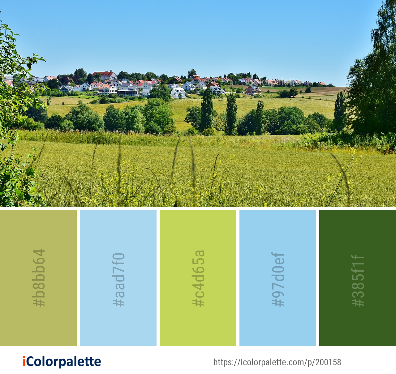 Color Palette Ideas from Grassland Field Meadow Image | iColorpalette