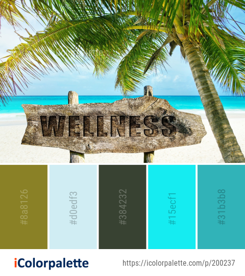 Color Palette Ideas from Tropics Caribbean Palm Tree Image | iColorpalette