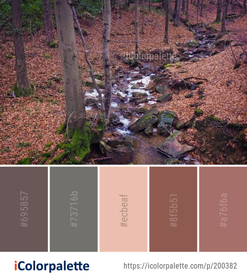 Color Palette Ideas from Water Nature Stream Image | iColorpalette