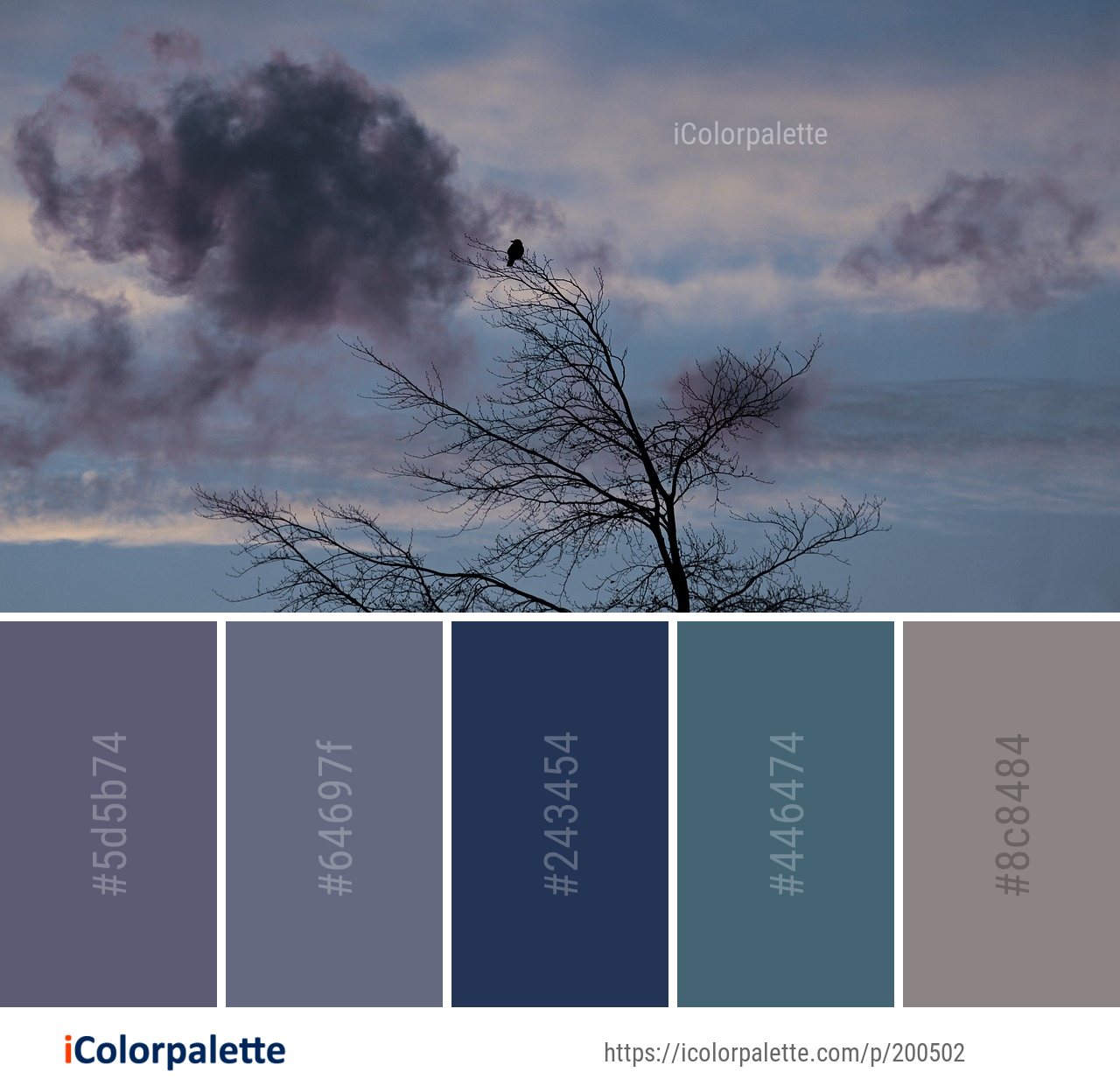 49+ Smoke Color Palette ideas in 2025 | iColorPalette