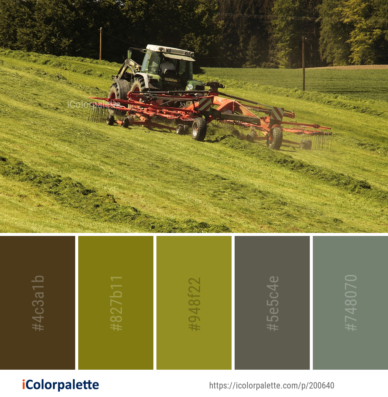 Color Palette Ideas from Grassland Agriculture Field Image | iColorpalette