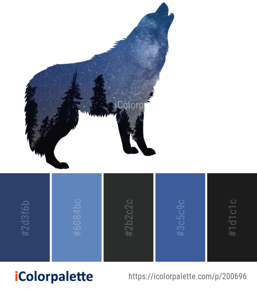 Color Palette Ideas from Dog Like Mammal Fauna Image | iColorpalette