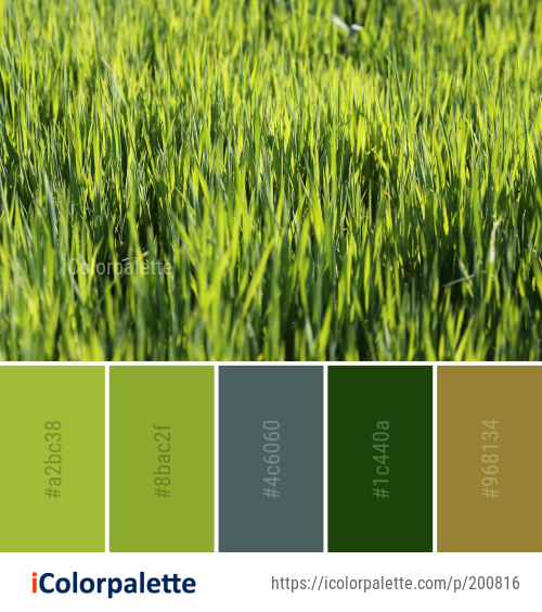 33+ Wheatgrass Color Palette ideas in 2026 | iColorPalette