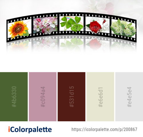 14+ Advertising Color Palette ideas in 2025 | iColorPalette