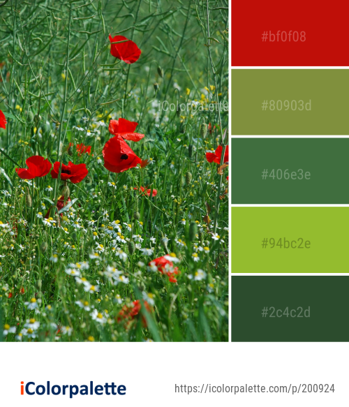 Color Palette Ideas from Flower Wildflower Meadow Image | iColorpalette