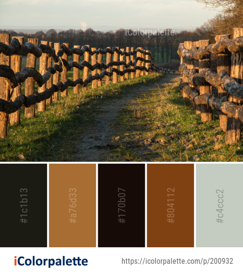 Color Palette Ideas from Tree Agriculture Grass Image | iColorpalette