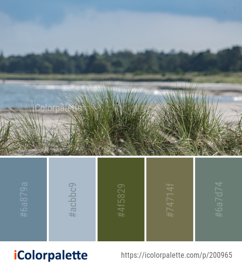 Color Palette Ideas from Water Ecosystem Wetland Image | iColorpalette