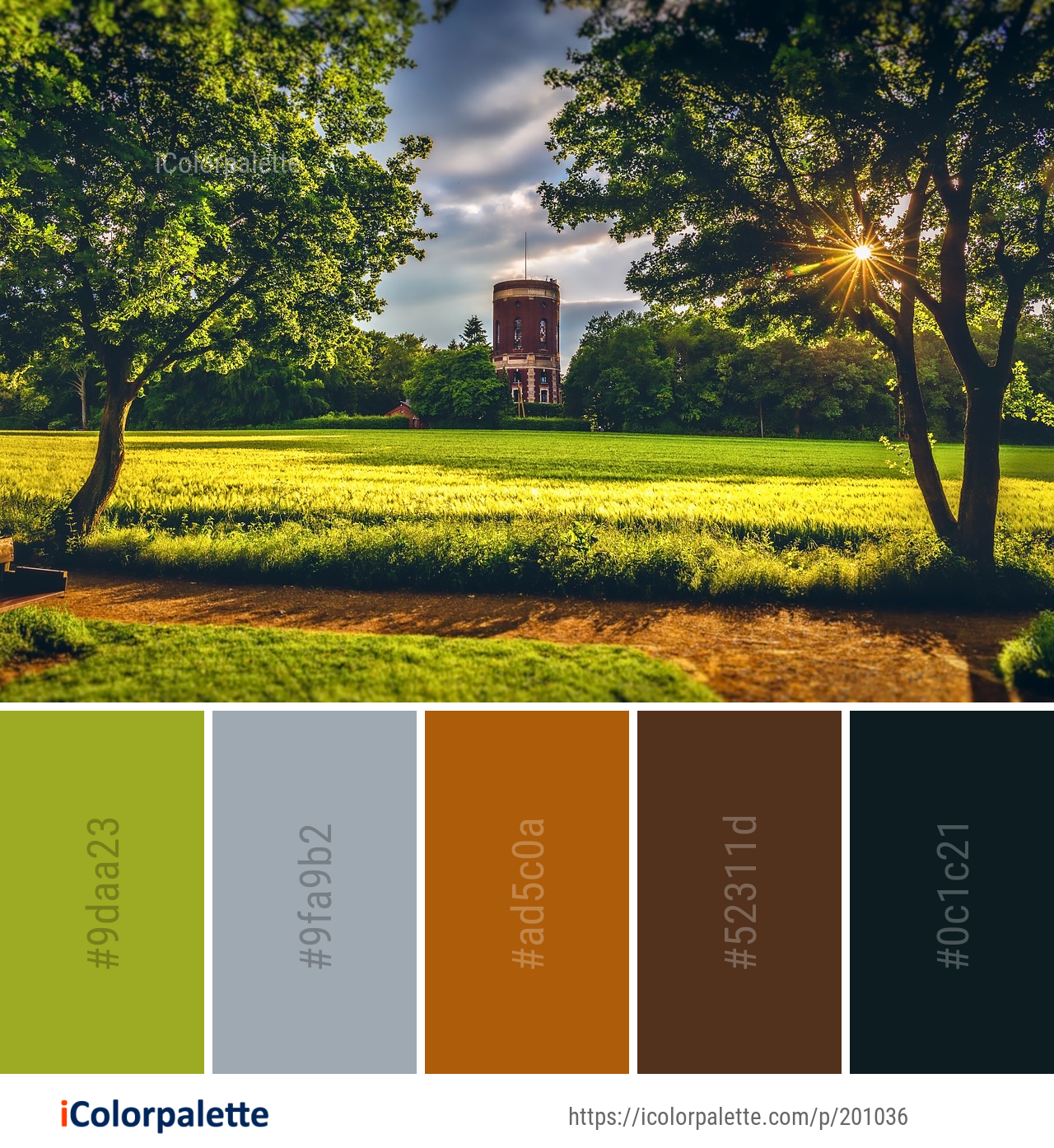 Color Palette Ideas from Nature Field Tree Image | iColorpalette