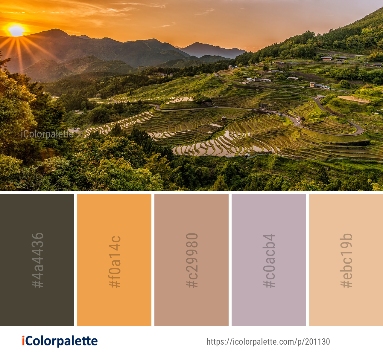 21 Terrace Color Palette ideas in 2025 | iColorpalette